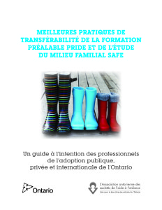 Best Practices of the Portability of PRIDE-SAFE FR tumbnail – Ontario ...